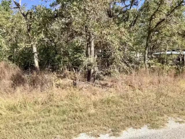 Lot 310 311 Deer Run, Smithville, TX 78957 MLS 2675522