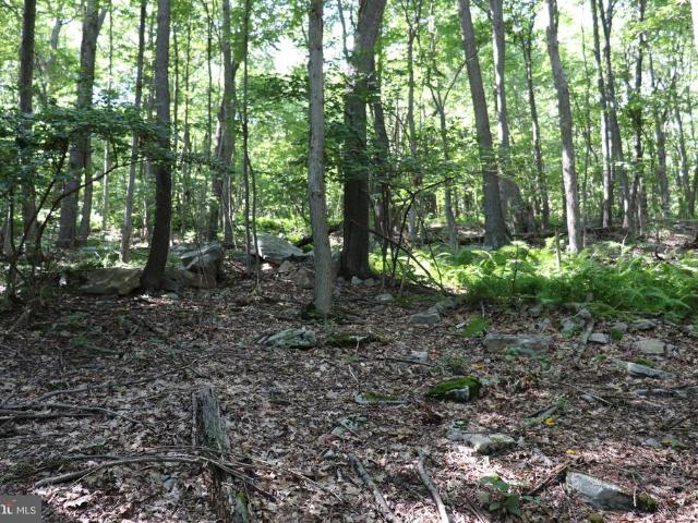 Lot 312 Ridge Run