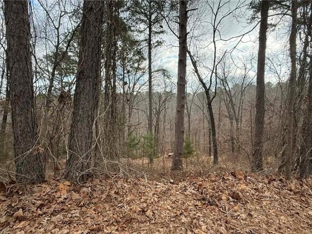 Lot 31, 32, 33 Bridge View Circle