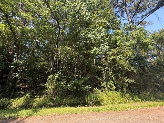 Lot #31 Goldfinch Street