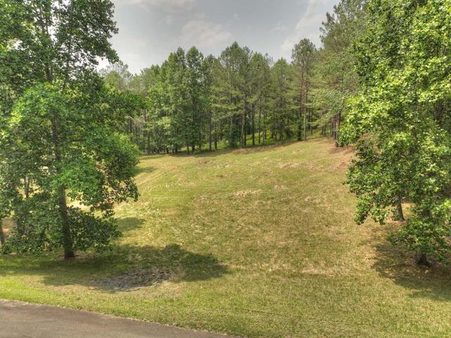 Lot 31 Eastside Dr, Ellijay, GA 30540 | MLS #421200