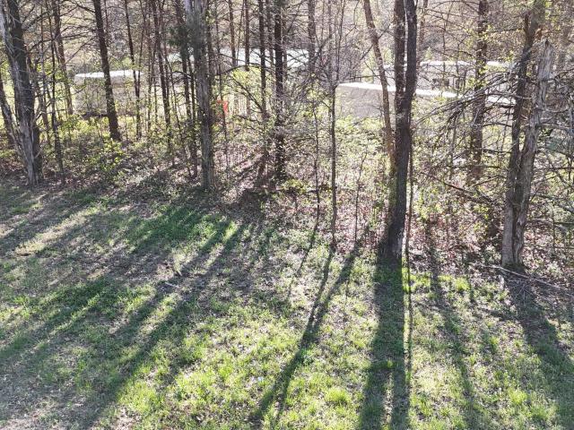 Lot #31 Farm Road 1260