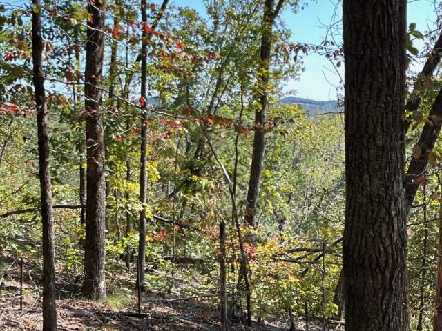 Lot 31 Highridge Parkway