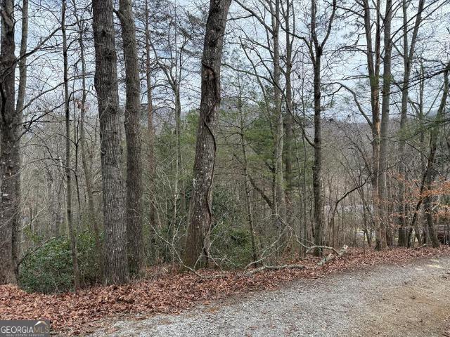 LOT 31 Ideal Acres