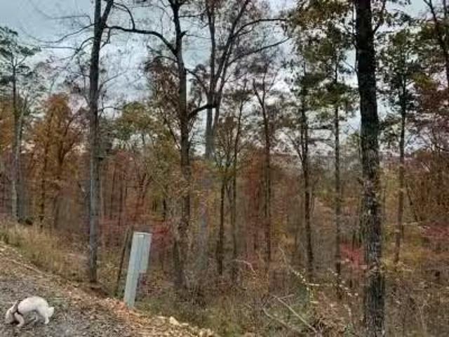 Lot 31 Moonshiner Springs Trl, Broken Bow, OK 74728
