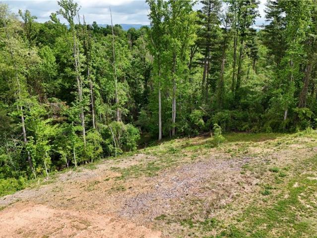 Lot 31 Meadowlark Road