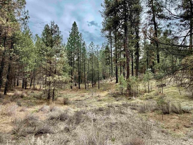 Lot 31 S Meadow Creek