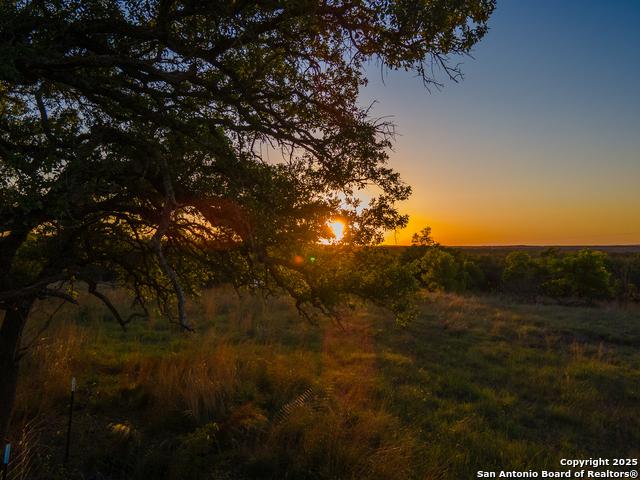 LOT 31 Shady Hollow