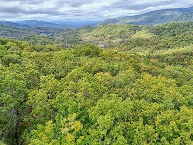 Lot 31 Skyview Trail # 31