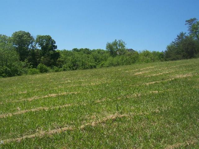 Lot 31 Splendor Way