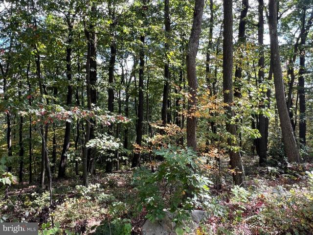 Lot 31 Woodlawn Drive