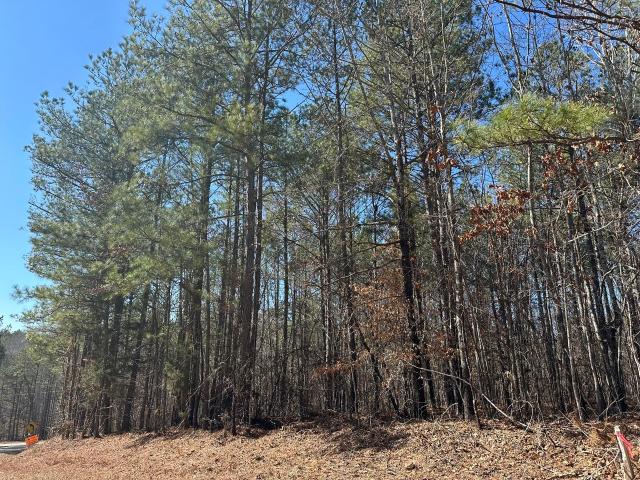 Lot 31 Willow Way, Lincolnton, GA 30817 | MLS #551924 | Compass
