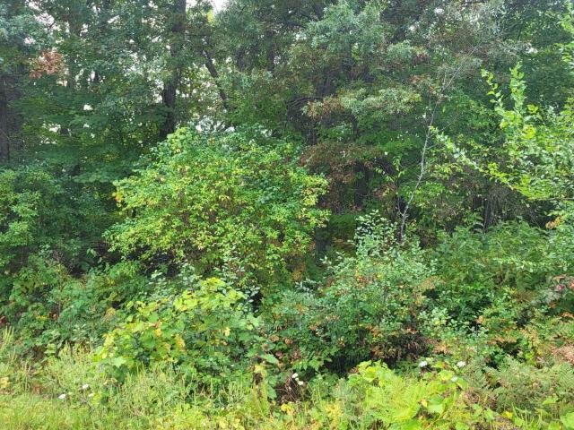 Lot 31 Tara Drive