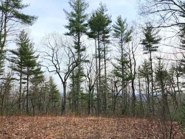 Lot 31 Valley View Court