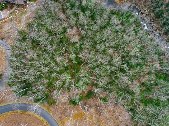 Lot 324 Twin Rivers Drive