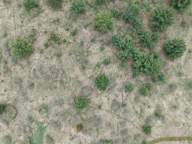 Lot 324 Track Iron Trail