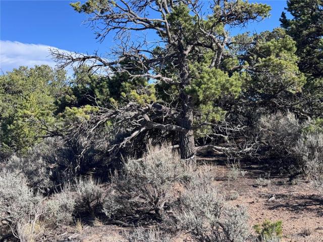 Lot 3292 Geneen Road