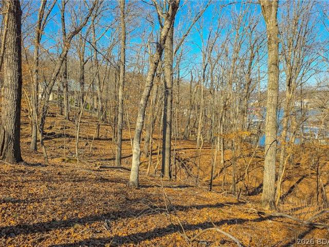 Lot #322 Oak Dr, Sunrise Beach, MO 65079 | MLS #3584 | Compass