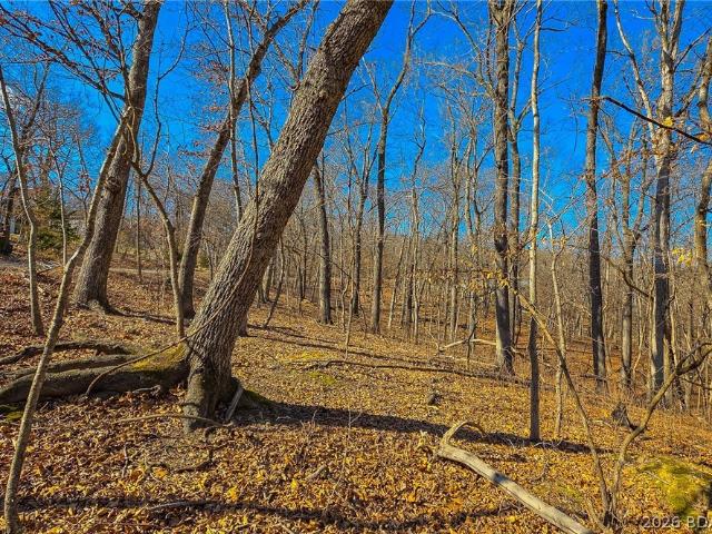 Lot #323 Oak Drive