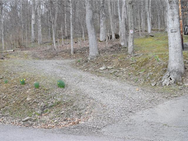 Lot 32 Braddocks Run Rd