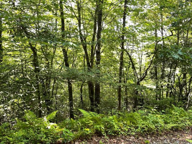 Lot 32 Fodder Creek Mill Dr, Hiawassee, GA 30546 | MLS #407500