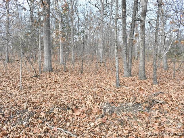 Lot 32 Forrest Hills Dr Lake, Ozark, MO 65049 | MLS #3582