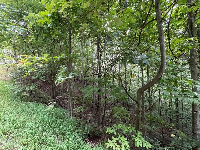 Lot 32 Mountain Harbour, Hayesville, NC 28904 | MLS #409031