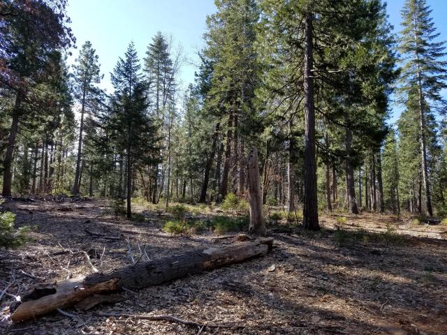 Lot 32 Shingle Glen Trail
