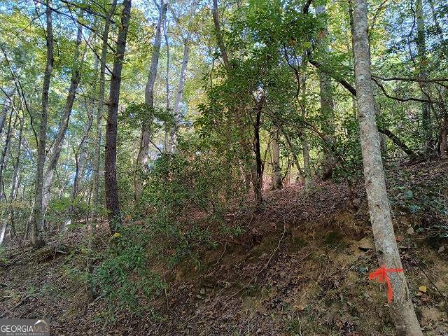 Lot 334 Cold Stream, Unit 334, Ellijay, GA 30540 | MLS #10627 | Compass