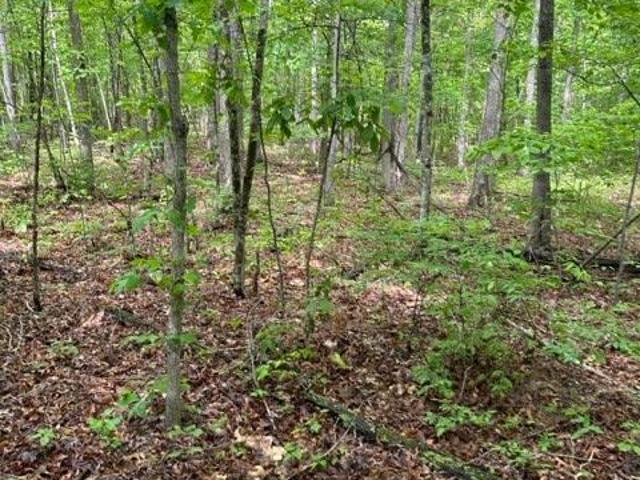 Lot 335 Flat Top View