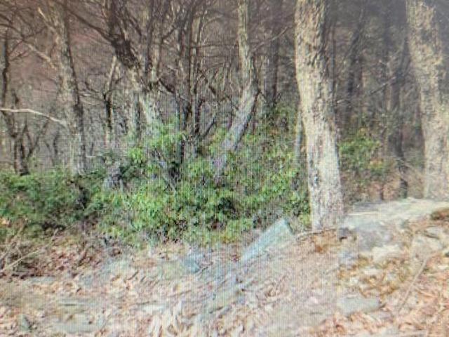 LOT 337 Nathaniel Mt Road