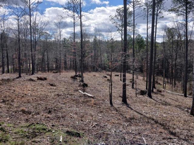 Lot 337 Timber Creek Trail, Talking Rock, GA 30175 | MLS #428828