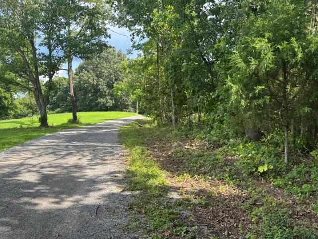 Lot 338 Cumberland Shores