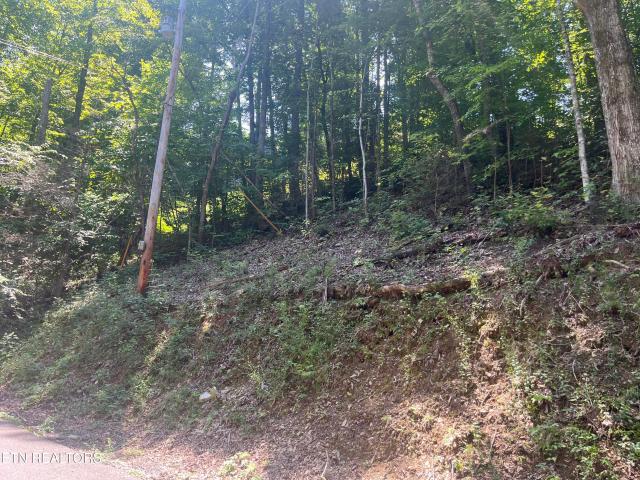 Lot 331 Ridgefield Drive