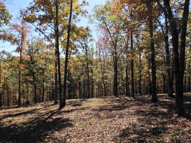 Lot 33, 34 & 35 Watersedge Drive