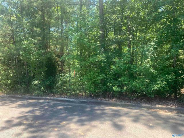 LOT 33 Cade Circle LOT 33