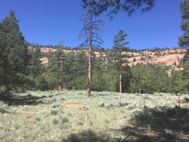 Lot 33 Aspen Loop