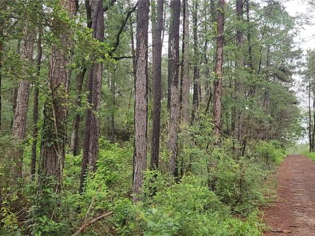 Lot 33 Gum Tree Lane