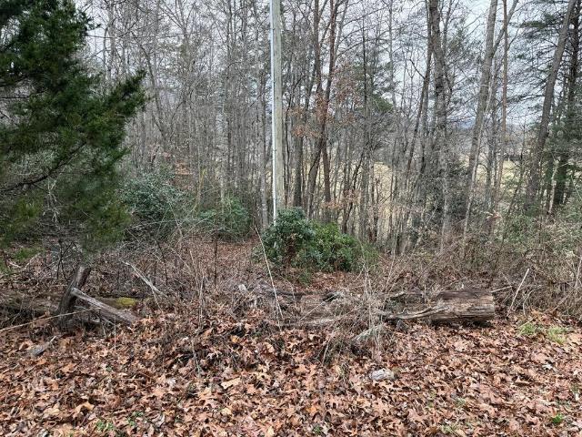 Lot 33 Ideal Acres