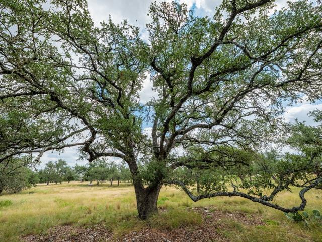 Lot 33 Nott Branch Rd, Unit 33, Harper, TX 78631 | MLS #104881