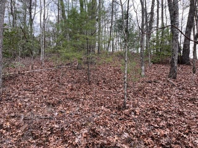 Lot 33 Sahkanaga Drive # 33