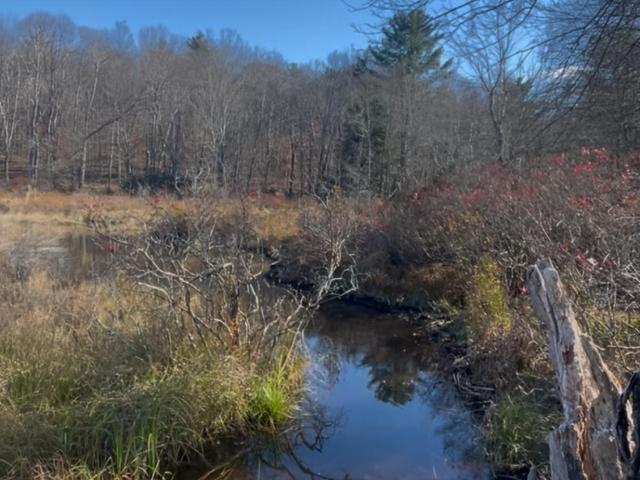 Lot 33 Scenic Dr, Blakeslee, PA 18610 | MLS #PM 134017 | Compass