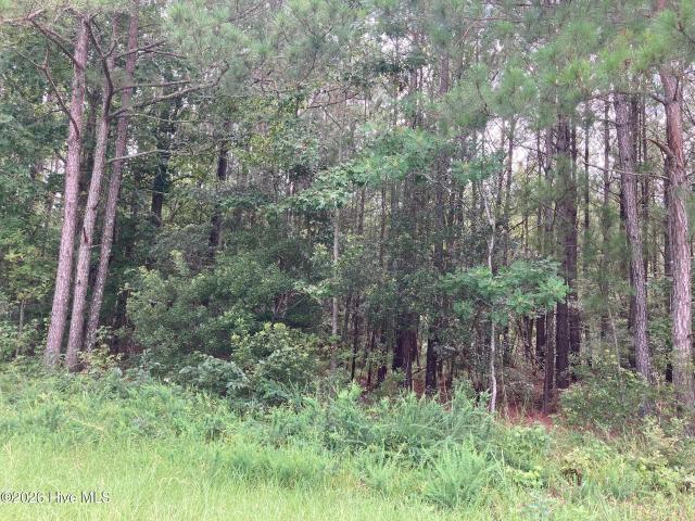 Lot # 33 Pine Crest Road # 33