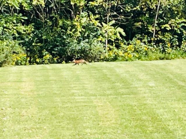 Lot 33 Ridge Road