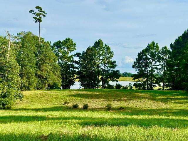 Lot 344 Lakeland Ranch