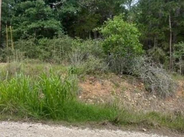 Lot 345 Wainee Dr