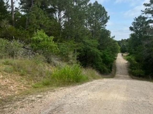 Lot 345 Wainee Dr, Bastrop, TX 78602 | MLS #1212