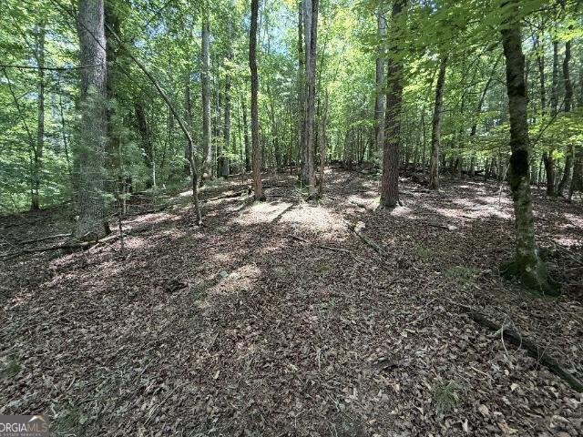 LOT 3469 Fir Lane