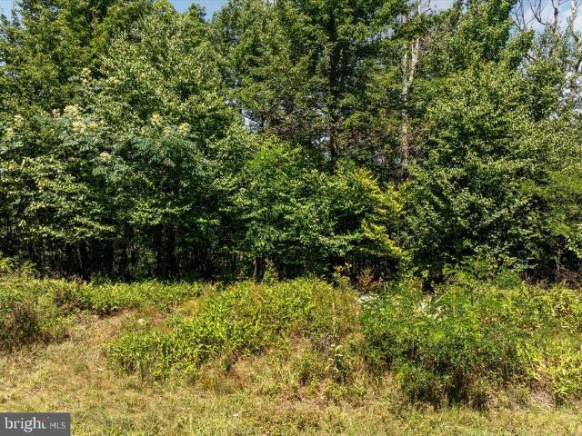 Lot 347 South Branch Mountain
