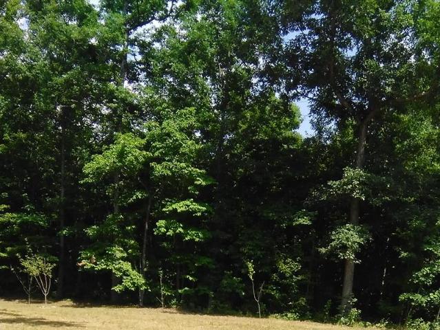Lot 340 Deep Branch